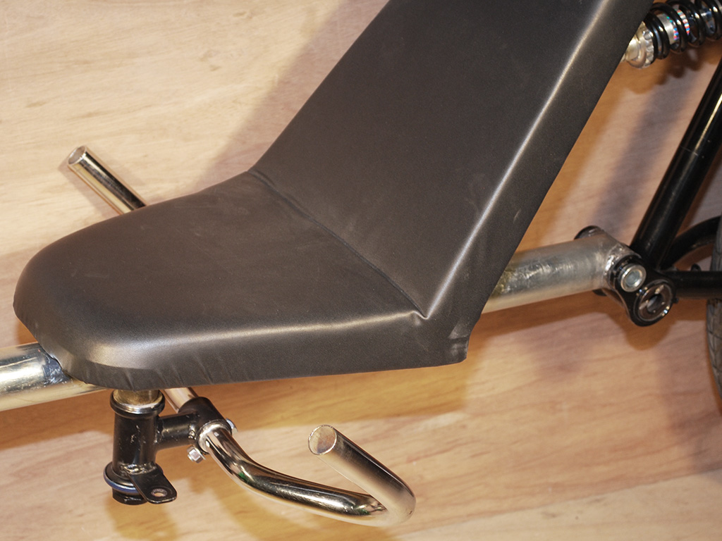 TriCruiser Winter Trike